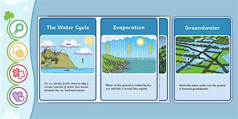 Water Cycle Display Fact Cards Hecho Por Educadores
