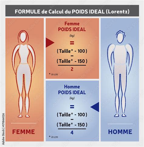 Wette Mechanik Wiederbelebung Calcul Poids Ideal Als Klebrig Ente