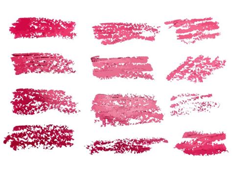 Red Paint Color Swatches With Shade Names Vector Image