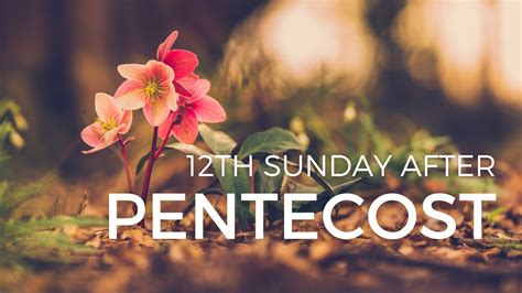 Th Sunday After Pentecost Youtube