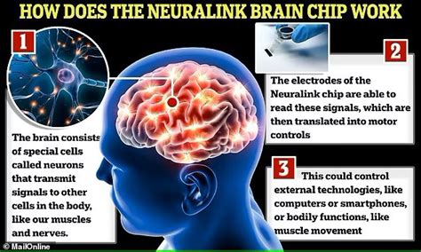 ID On T Renounce My Freedom Elon Musk S Neuralink Wins FDA Approval