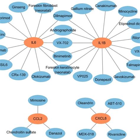 Drug Gene Interaction Network Of Target Genes Drugs Are In Blue And