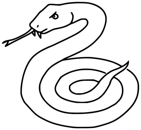 Desenho De Cobra Vs Mangusto Para Colorir Desenhos Para Colorir E