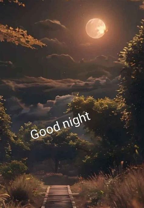 Pin By Renee Rupley On Good Night Good Night Sweet Dreams Good Night