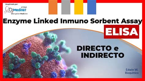 FUNDAMENTO DE LA PRUEBA DE ELISA DIRECTO E INDIRECTO YouTube