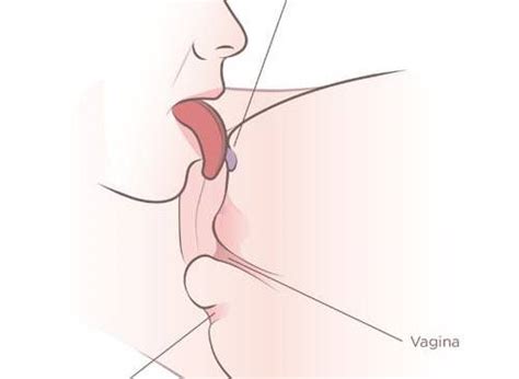 Cách Bú Liếm Âm Hộ Khiến Nàng Phải Tê Tái Tuyệt Kỹ Kích Thích