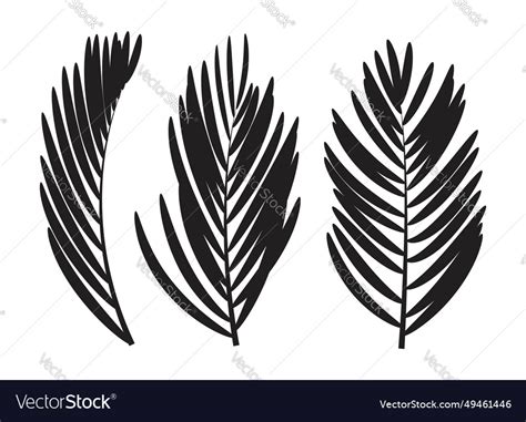 Set Of Palm Leaves Royalty Free Vector Image VectorStock