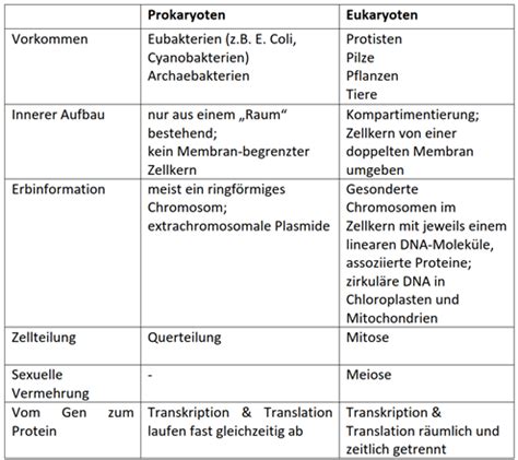 Zellbiologie Praktikum Karteikarten Quizlet