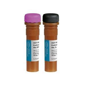 Kit De Reagentes Em Solu O Hot Firepol Evagreen Qpcr Mix Plus