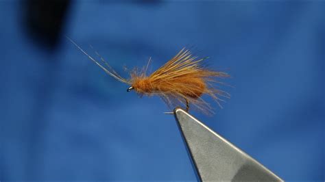Tying A Cinnamon CDC Bubble Caddis By Davie McPhail YouTube