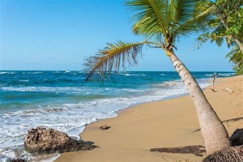Melhores Praias Da Costa Rica Para Pegar Um Sol E Curtir As F Rias