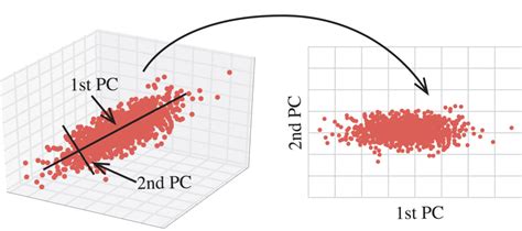 day 10 dimensionality reduction with pca and t sne in r