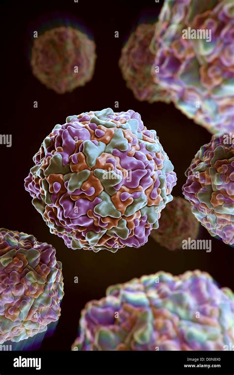 Estructura Cristalina de virus Coxsackie PDB 1COV Fotografía de stock