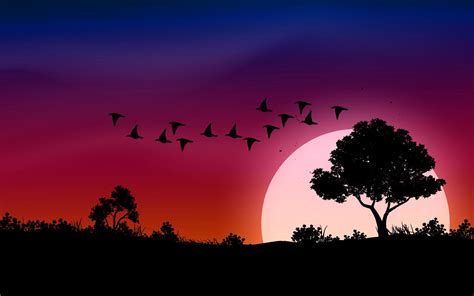 Red Sky Sunset Or Sunrise Nature Background With Trees And Flying Birds