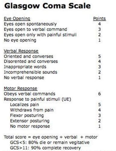 Traumatic Brain Injury Flashcards Quizlet