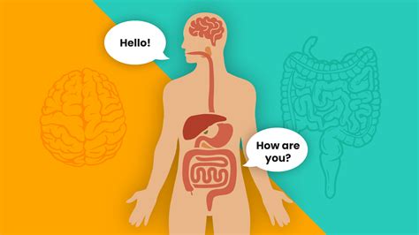 The Gut Brain Axis Insights On Clinical Trial Design Vedic Lifesciences