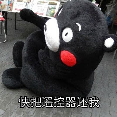 热的昏古七熊本熊微信恶搞表情包下载 微信表情 微茶网