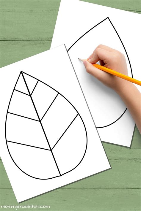 Free Leaf Templates Outlines Tons Of Printables Leaf Template