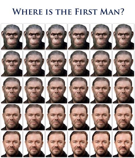 Monkey Human Evolution Chart