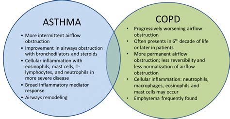 The Differences Between Asthma And COPD