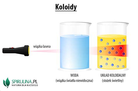 Koloidy Algi Spirulina I Chlorella