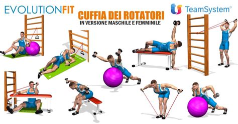 Nuovi Esercizi Aggiunti 10 Esercizi Per La Cuffia Dei Rotatori
