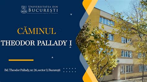 C Minele Universit Ii Din Bucure Ti C Minul Theodor Pallady I Youtube