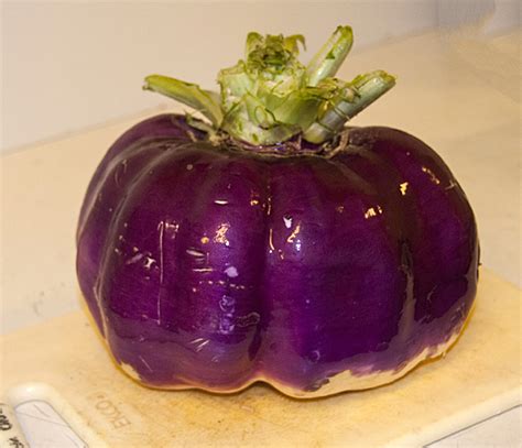 Pacific Science Center Life Sciences Turnip Tale