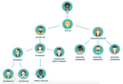 ᐈ Qué es un Organizador Gráfico INFO COMPLETA
