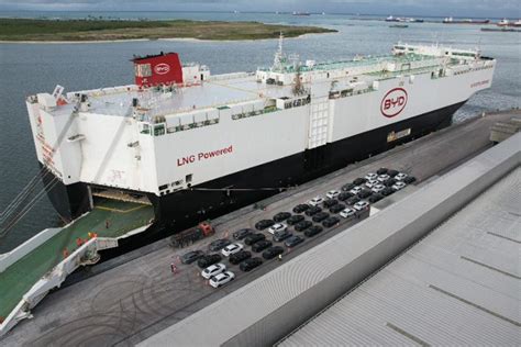 Navio Da Byd Chega Ao Brasil Pela Primeira Vez E Traz Mais De Mil