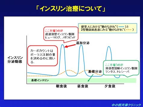 カーボカウントについていしい内科糖尿病クリニック岩手県盛岡市
