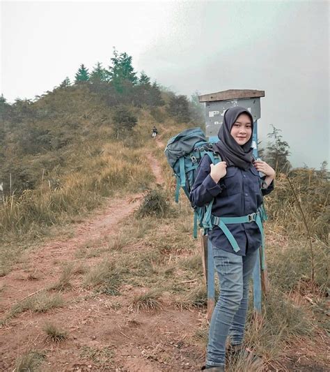 Pendakicantik Larangan Mendaki Gunung Bismo Via Jalur Sikunang