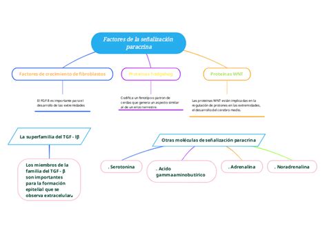 Factores de la señalización paracrina Mind Map