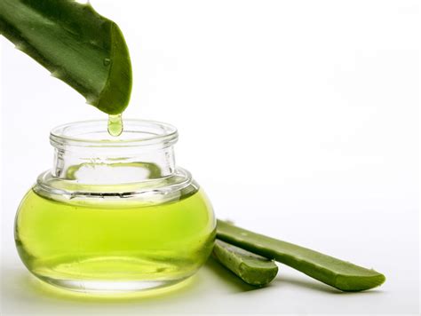 Aloe vera las increíbles propiedades de esta planta medicinal