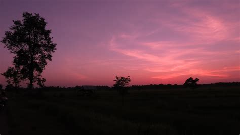 Free Images Landscape Tree Nature Grass Horizon Silhouette