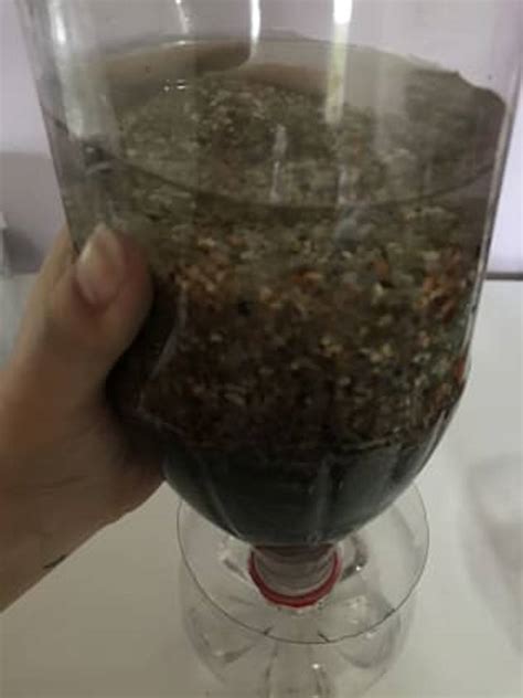 Componer Médico matraz pasos para elaborar un filtro de agua Fuerza