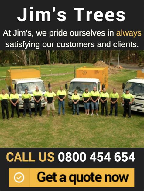 Jims Trees Nz Tree Stump Removal Services