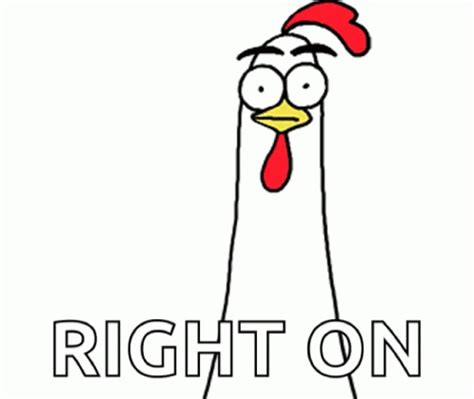 Chicken Bro Chicken Bro Okay Discover Share GIFs