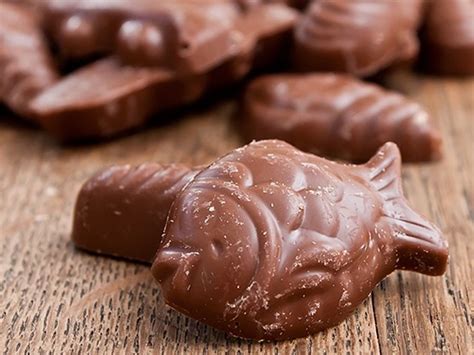 Chocolats de pâques de Noël ou de tous les jours Recette de