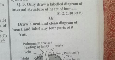 Q 3 Only Draw A Labelled Diagram Of Internal Structure Of Heart Of Huma