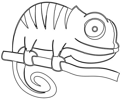 Dibujos de Camaleón Lindo para Colorear para Colorear Pintar e