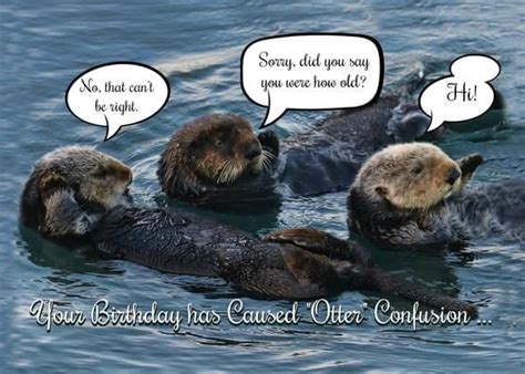 Otters And Praising Birthday Birthday Card With Your Own Handwriting