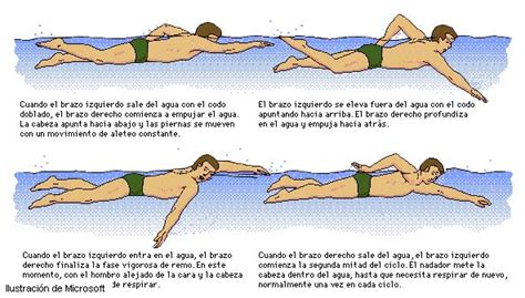 Técnica de crol Natación y Entrenamiento