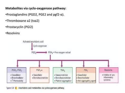Chemical Mediators Of Inflammation PPT