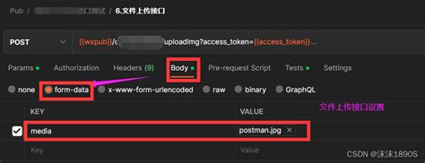 postman文件上传设置及报错解决 postman 上传文件 undefined csdn博客