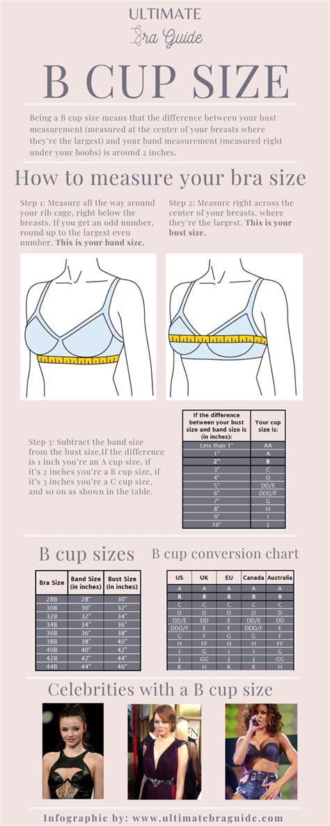 B Cup Size Ultimate Guide What B Cup Boobs Look Like 2023
