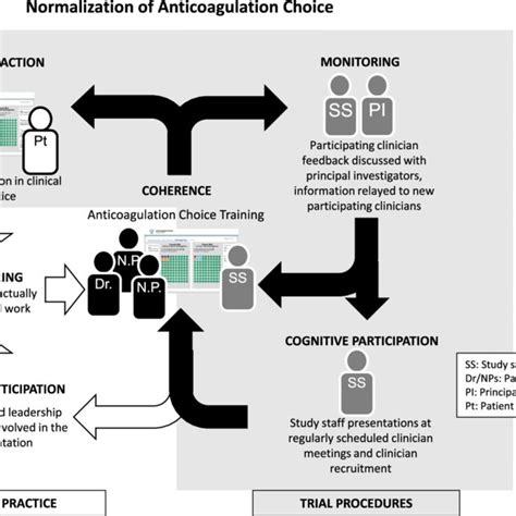 normalization process theory