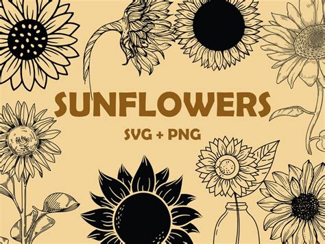 50 Sunflower Svg Png Flower Svg Png Cuties Doodle Silhouette
