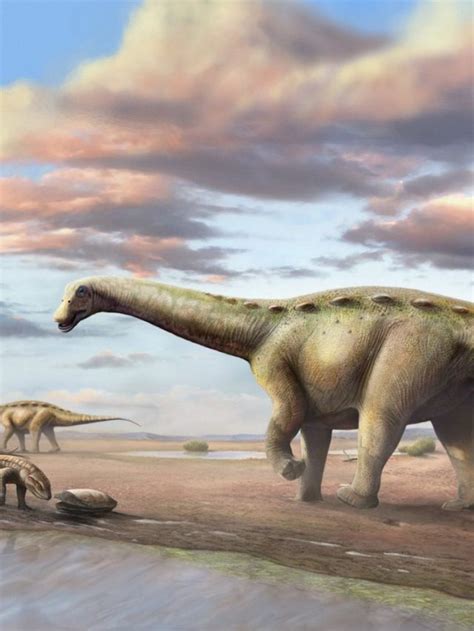 Cientistas descobrem nova espécie de dinossauro anão no interior de SP