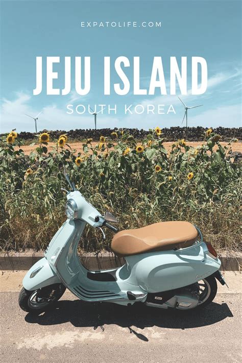 A Scooter Parked In Front Of A Sunflower Field With The Words Jeju